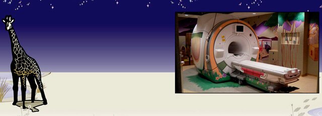 Adventure Series for MR | GE Healthcare