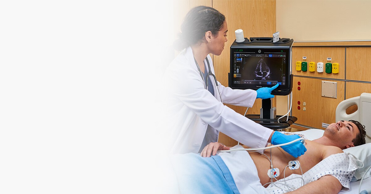 GoldSeal Vivid Cardiovascular Ultrasound Family | GE HealthCare (United ...