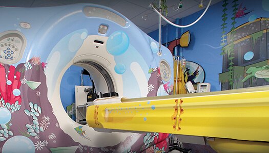 CT, PET/CT and Nuclear Medicine Accessories & Supplies | GE Healthcare ...