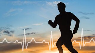 CardioDay Holter ECG software | GE HealthCare (United States)