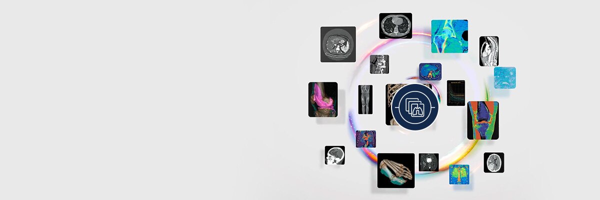 GSI Viewer | GE Healthcare (Singapore)